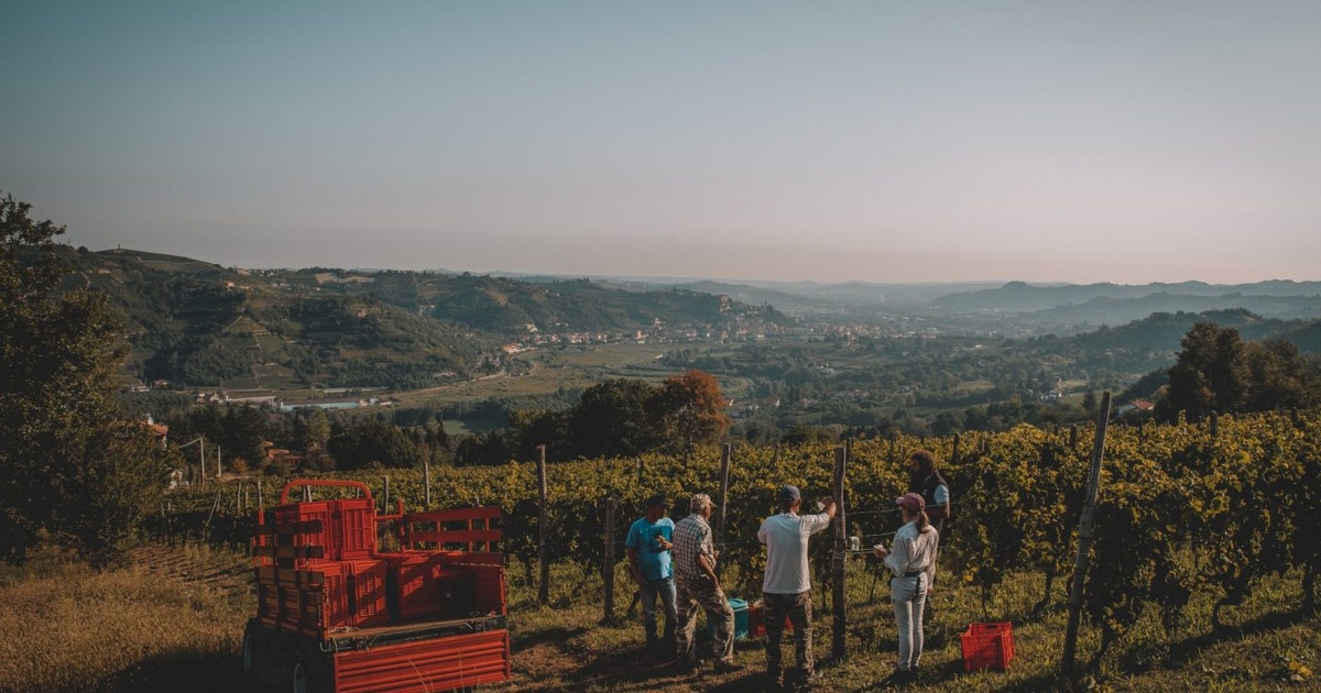 Food and wine tours in the Asti area - Neh Experience