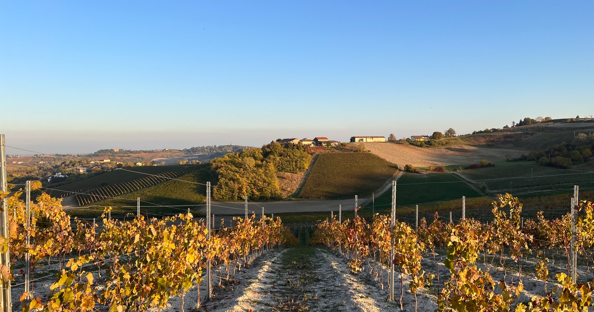 Cella Monte Tour - Neh Experience